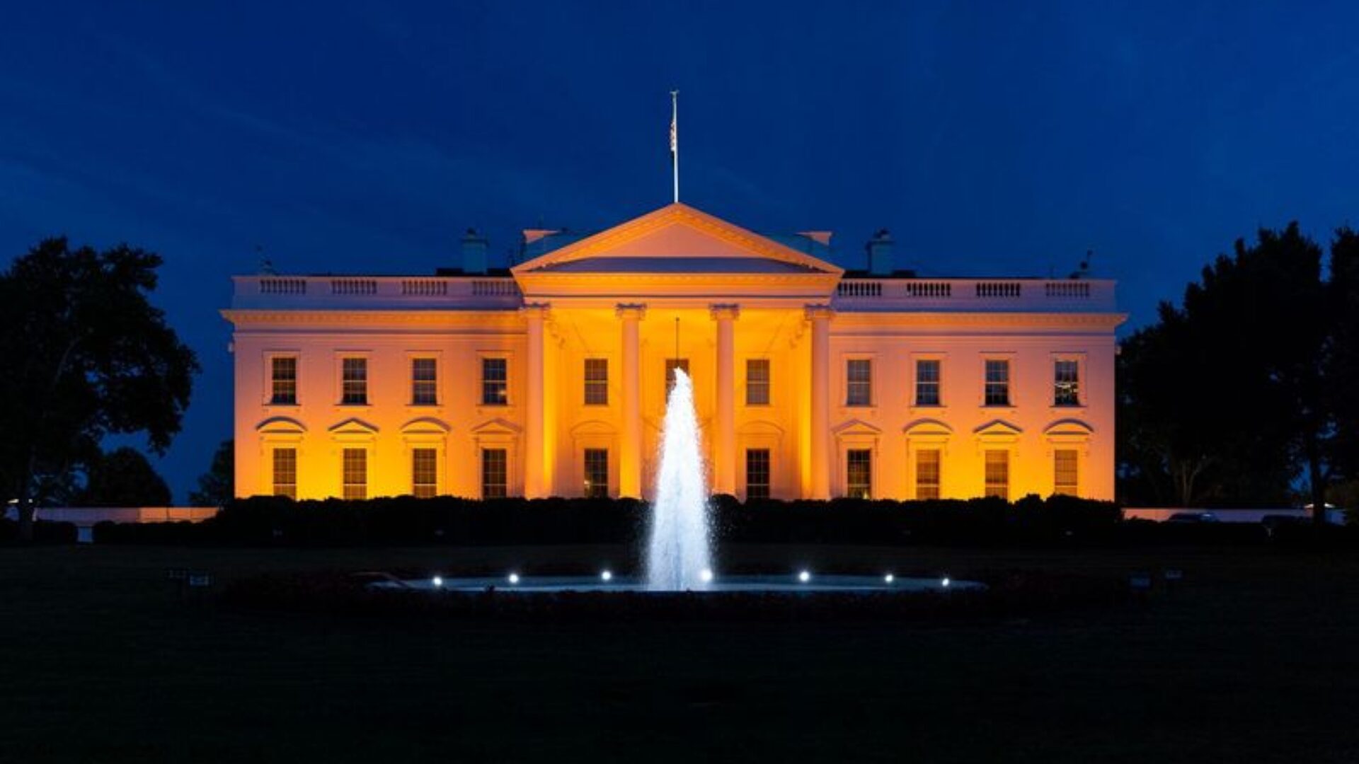 What Is the White House Office of Gun Violence Prevention, and What Has ...