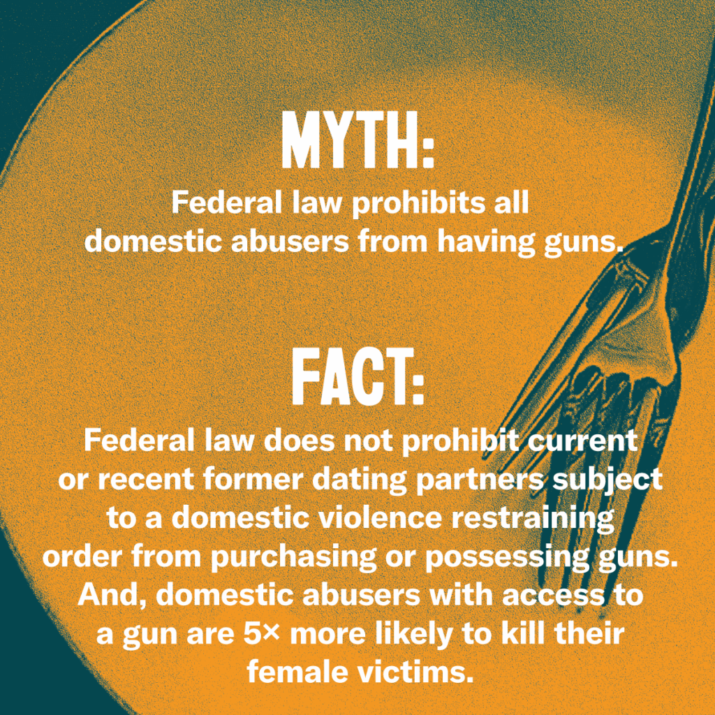 Debunking Gun Myths at the Dinner Table | Everytown